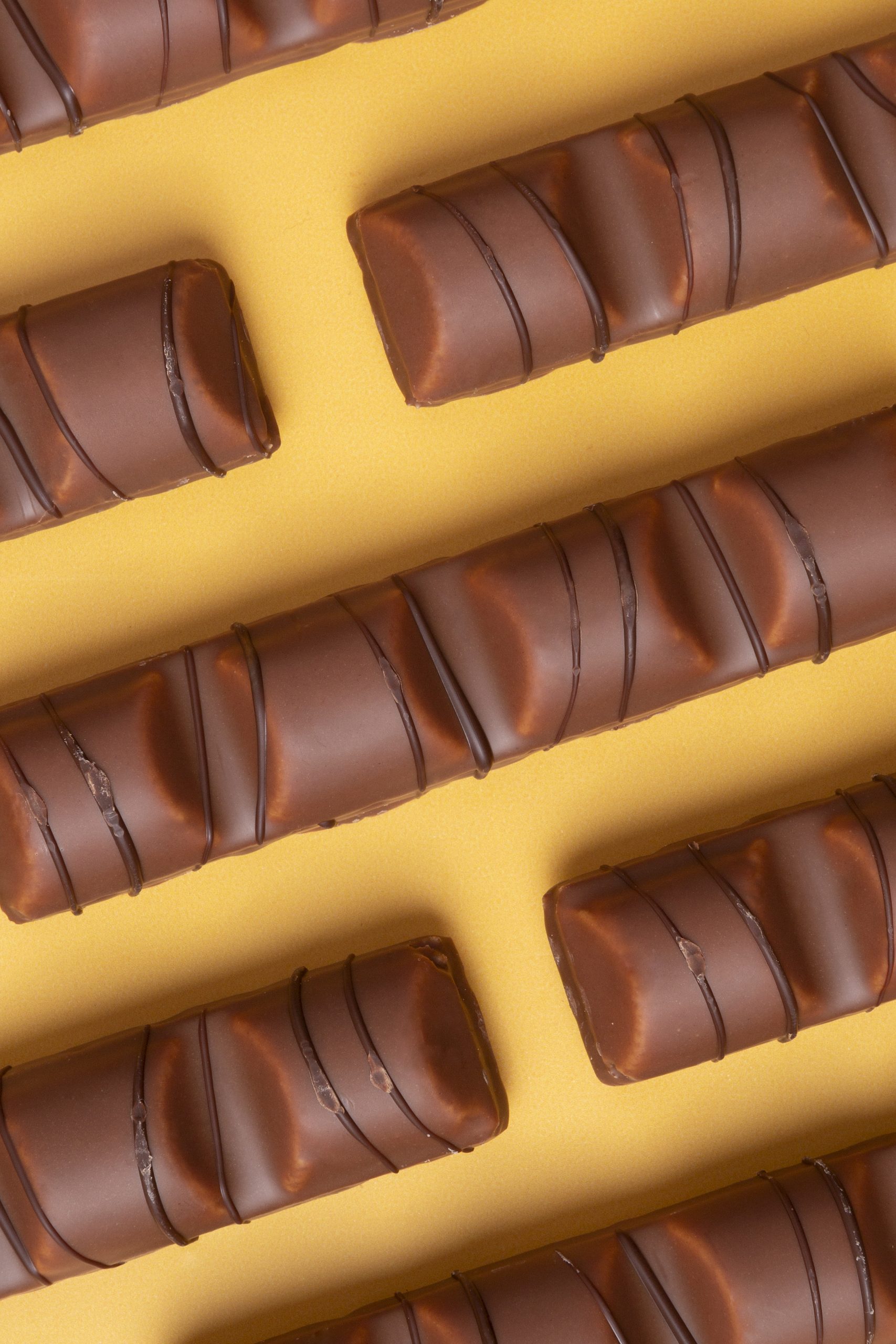 Ice Wave – The Ice Cream Show