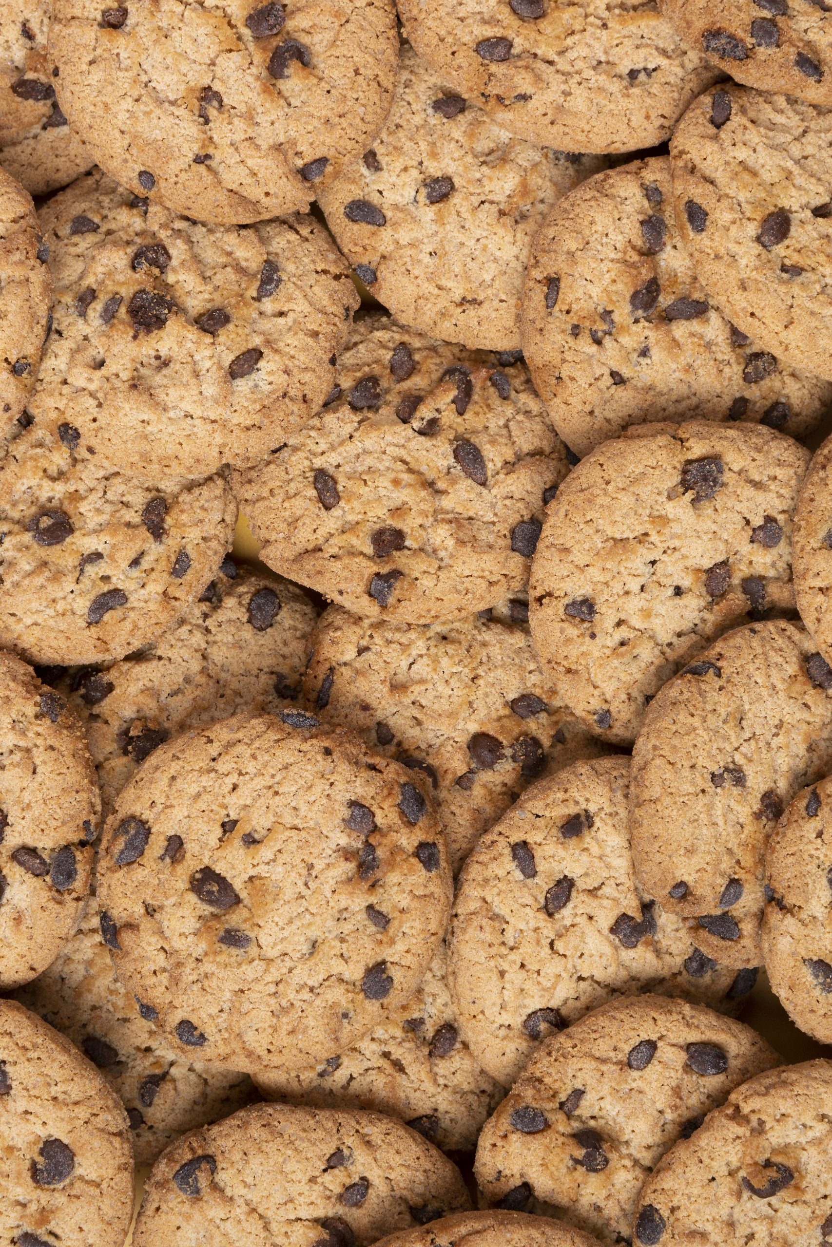 Ice Wave – The Ice Cream Show